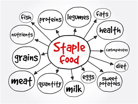 Staple Food Mind Map Concept For Presentations And Reports Stock