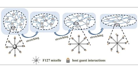 Super Tough Ultrastretchable Hydrogel With Multistimuli Responsiveness ACS Applied Materials