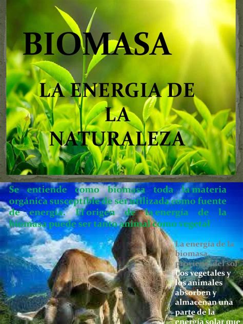 Biomasa Presentación Pdf