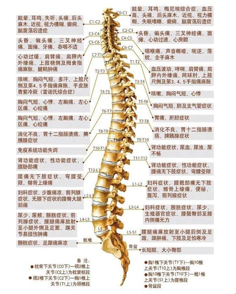 孩子记性不好多半是颈椎病惹的祸 搜狐大视野 搜狐新闻