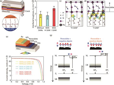 Self Assembled Monolayers In Perovskite Solar Cells