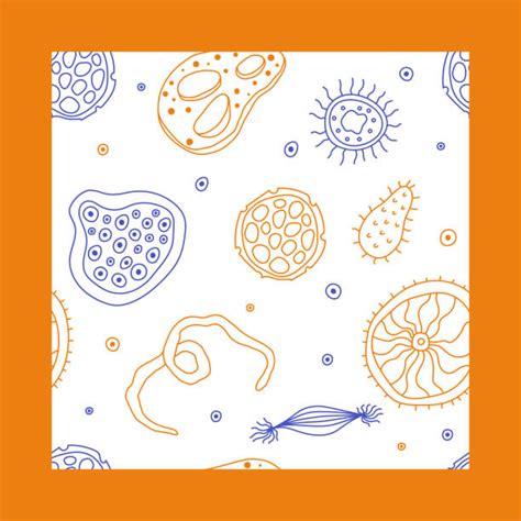 10 Microbs Stock Illustrations Royalty Free Vector Graphics And Clip
