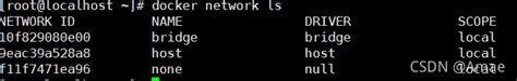 docker网络模型：nat，bridge，叠加网络；docker中的bridge，host，none网络 docker nat amae的博客 csdn博客
