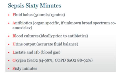 Sepsis Flashcards Quizlet