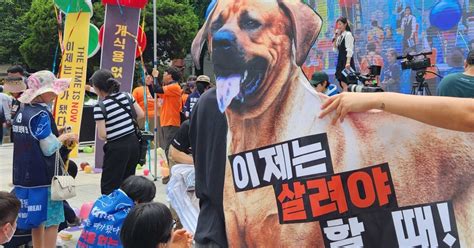 불법 Vs 자유개 식용 논란 또 다시 도마 위로
