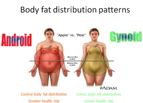 Bio 140 Exam 4 Flashcards Quizlet