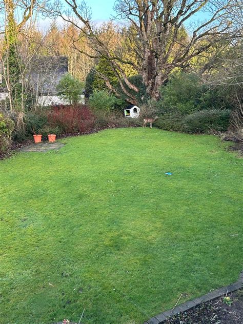 Weekendfun Cameron Adrain