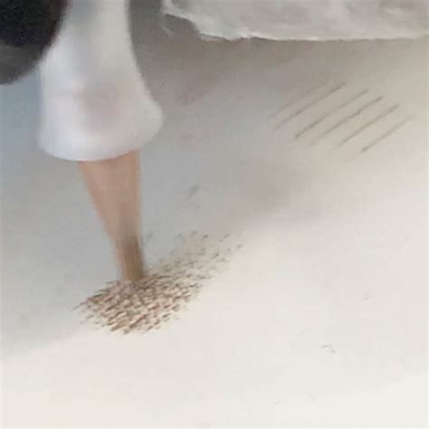 Choosing The Right Permanent Makeup Needle Artofit