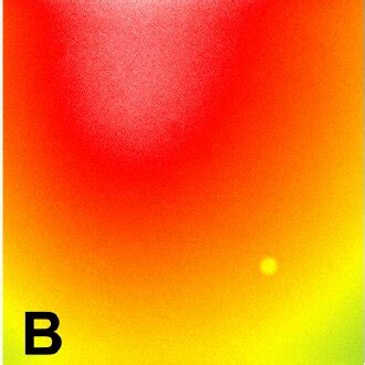 Non Uniform Illumination Results In Nonuniform Fluorescence All Images