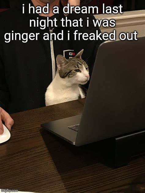 Stare Imgflip