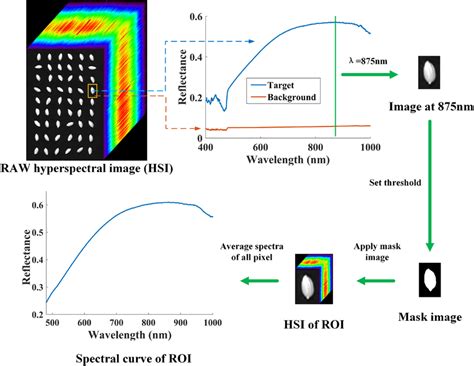 Flowchart Of Image Segmentation And Spectra Acquisition For A Single