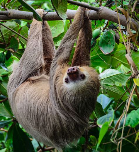 Voyage éco responsable au Costa Rica Cercle des Voyages