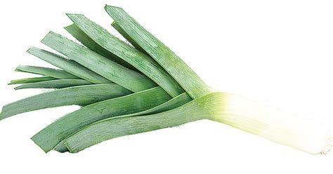Leeks Lakeside Organic Gardens
