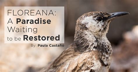 Island Conservation Floreana A Paradise Waiting To Be Restored