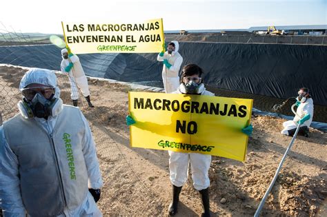 Absueltos Activistas De Greenpeace Por Protesta En Caparroso Es
