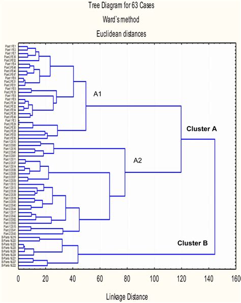 Dendrogram Showing The Relationship Of 63 Enterococcus Spp Obtained