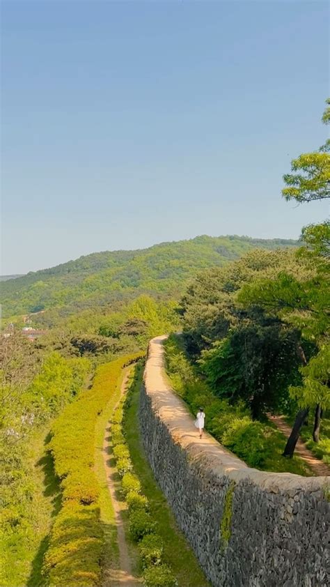 주연 • Julip 조금 무섭지만 지금 제일 예쁜 길🥺🌿 고창 시내를 한눈에 바라볼 수 있었던 전북의 숨겨진 명소 녹음이 지면 넘 예뻐서 여름 가을까지 기대되는