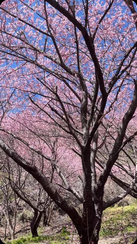 Doris Herrlisch Dorisherrlisch • Instagram Photos And Videos