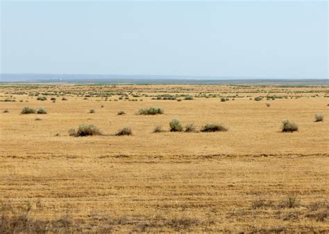 Stepė Visuotinė Lietuvių Enciklopedija