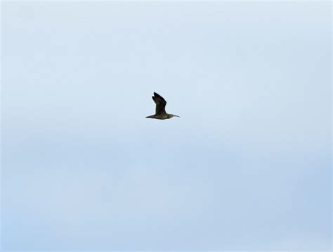 Dsc 3592 Mod Carl Ebeling Flickr