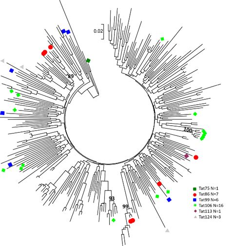 Figure 1 From The Evolution Of Subtype B Hiv 1 Tat In The Netherlands