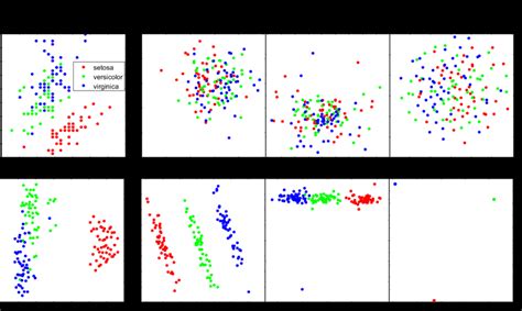 Iris Data Set 62 56 With Additional 1000 Gaussian Noise Variables Download Scientific