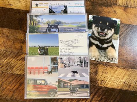 Kuro 10歲紀念限定 寫真集 故事集 月曆 x4 送上實物自選相片 日本尋柴代理