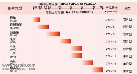 Fujifilm Prescale Lllw Testeb