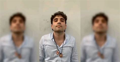 Narcocorrido Soy El Ratón Para Ovidio Guzmán Publimetro México