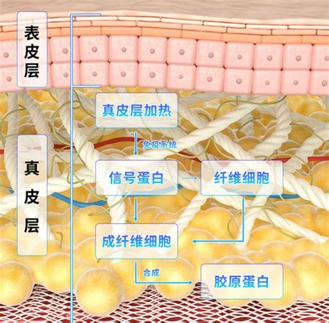 射频仪 美容仪专用芯片：fp6298升压供电 深圳市雅欣控制技术有限公司
