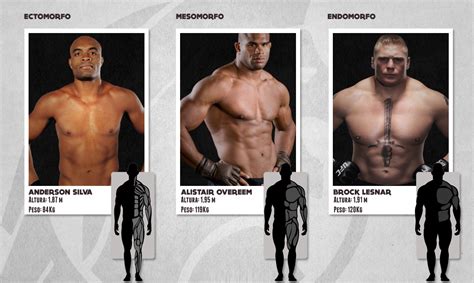 O Que O Formato Do Seu Corpo Tem A Dizer Sobre Sua Genética