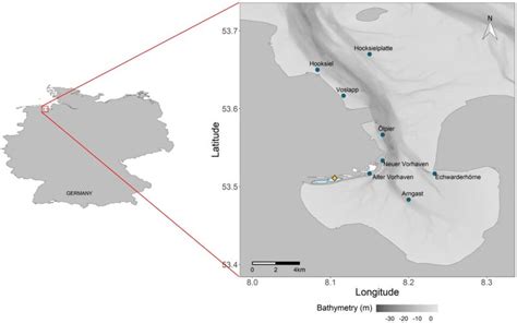 Jérôme Ollier On Linkedin Via David Shiffman Sex Specific Foraging Behaviour In A Long Lived…