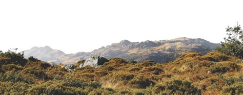 AI Generated Barren Rocky Landscape With Patches Of Dry Grass And