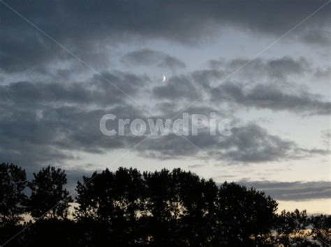 저녁 초승달 수풀 하늘 구름 사진이미지일러스트캘리그라피 Loveyn작가