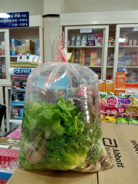 วันนี้ผักปลอดสารพิษไฮโดโปนิกส์ของนักเรียนชุมนุมเกษตรพอเพียงโรงเรียนเลิงนกทาออกจำหน่ายที่ตลาดนัด