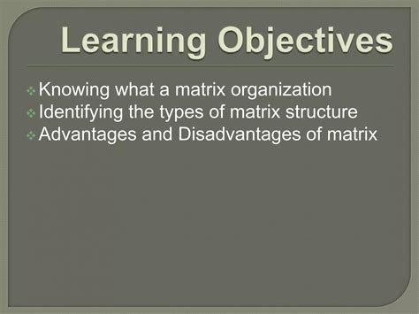 matrix organization structure project final fab 1 pptx business
