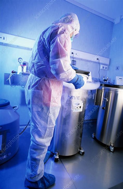Stem Cell Storage Stock Image C0043365 Science Photo Library