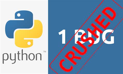 fix bugs in your python application by chrishughesdev fiverr