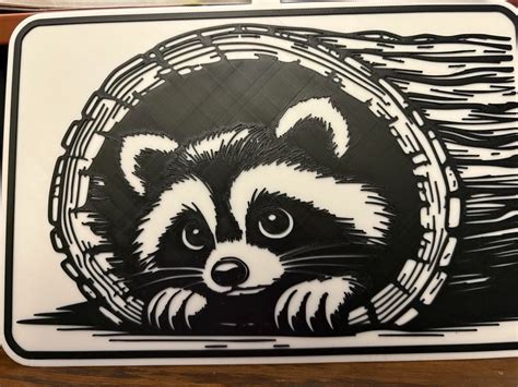Racoon By C C C Makerworld
