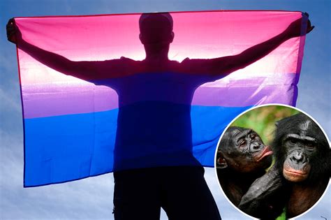 Bert And Ernie Are Gay Lovers Sesame Street Writer Reveals