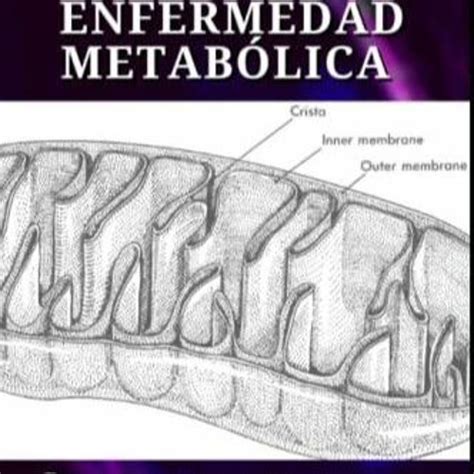 Stream PDF El C Ncer Como Enfermedad Metab Lica Por Sobre El Origen