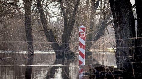 Projekt zapory elektronicznej na granicy z Rosją gotowy InfoSecurity24 pl