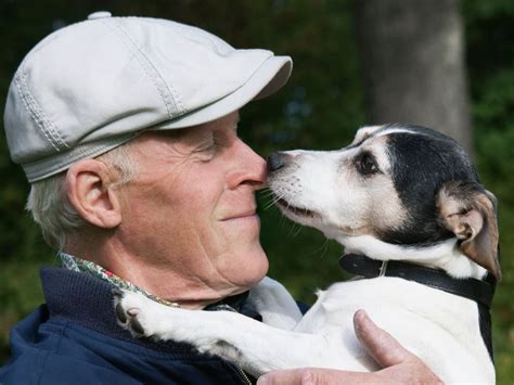 Dog Olfactory Receptors