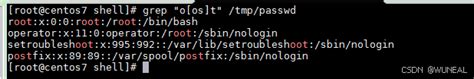 Linux中grep命令数据过滤和筛选grep过滤指定字段 Csdn博客