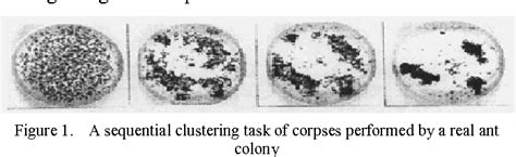 Figure 1 From An Improved Ant Colony Clustering Algorithm Semantic