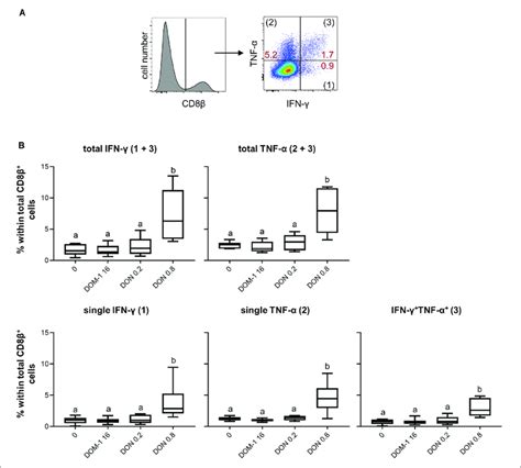 Frequencies Of Ifn γ And Tnf α Producing Cd8 T Cells In The