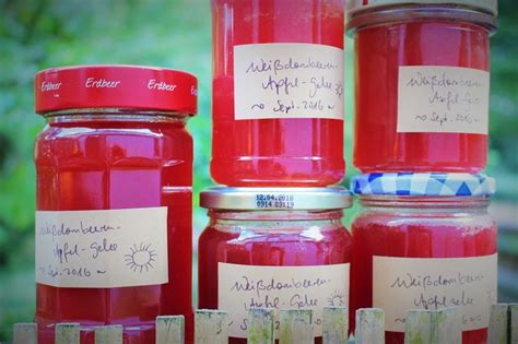 Private Website | Weißdornbeeren, Milchgetränke, Wein trinken