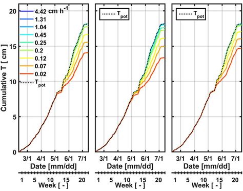 The Cumulative Root Water Uptake Rwu T Simulated By The Download Scientific Diagram