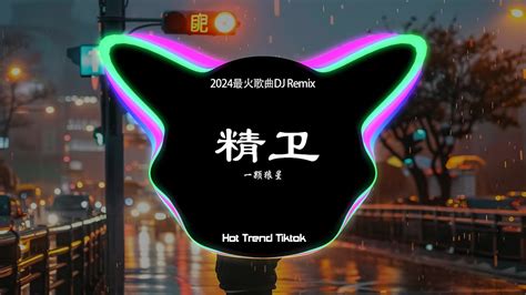 一颗狼星 精卫 Dj抖音 Remix New Ver【抖音热门歌曲】『是现在我所有期待 所有的爱。』抖音 Hot Tiktok