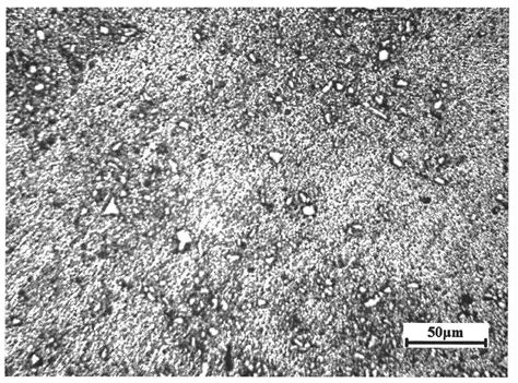 ceramic particle reinforced aluminum based gradient composite material